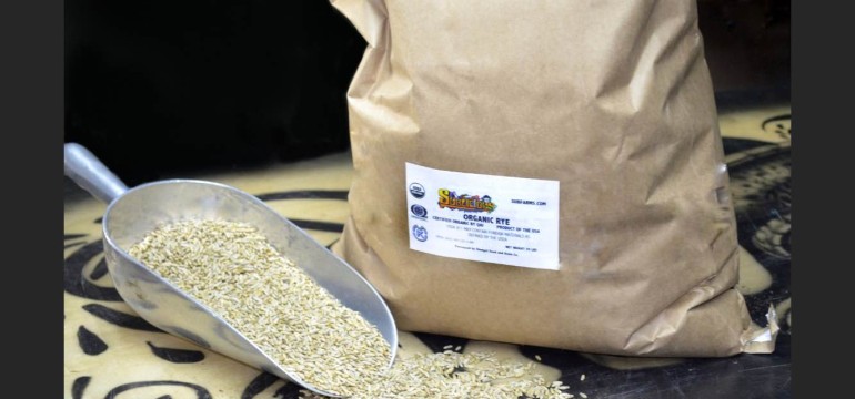 What is Bulk Substrate?-Let's grow together!